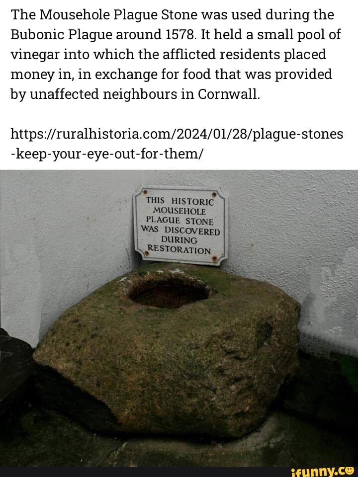 Cornwall memes. Best Collection of funny Cornwall pictures on iFunny