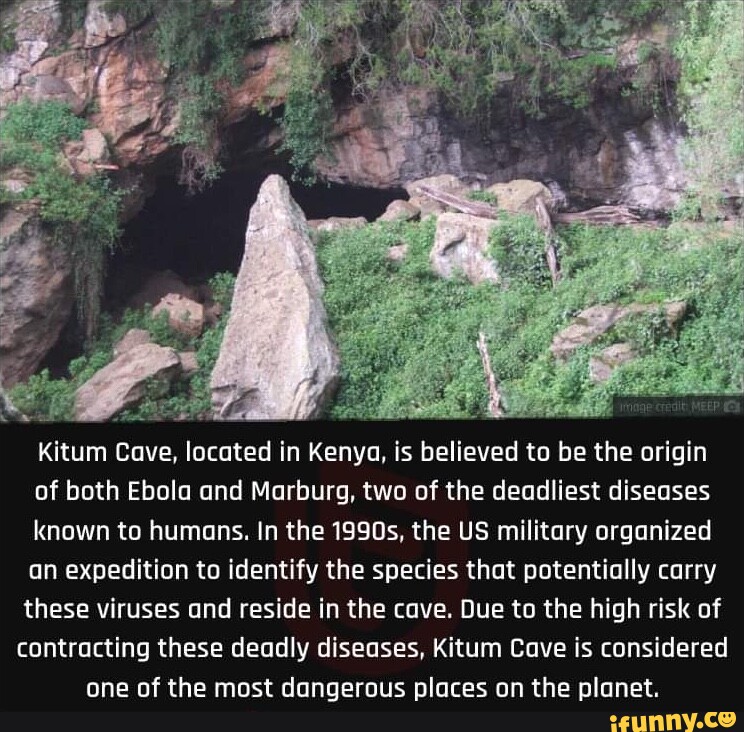 Kitum Cave, located in Kenya, is believed to be the origin of both ...