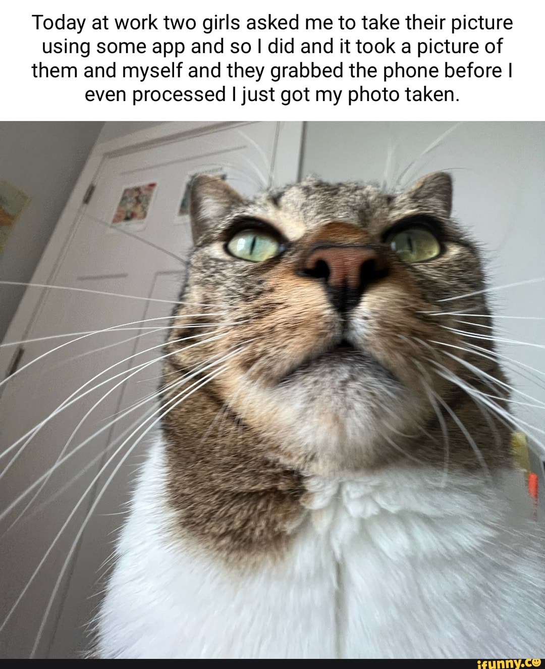 Grabbed memes. Best Collection of funny Grabbed pictures on iFunny