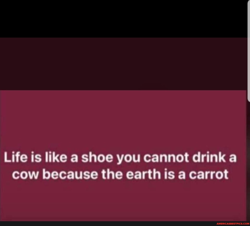 Life is like a shoe you cannot drink a cow because the earth is carrot ...