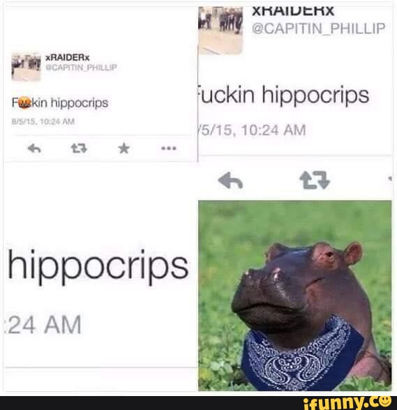 Hippocrips memes. Best Collection of funny Hippocrips pictures on iFunny