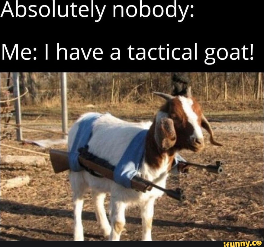 Absolutely nobody: Me: I have a tactical goat! - iFunny