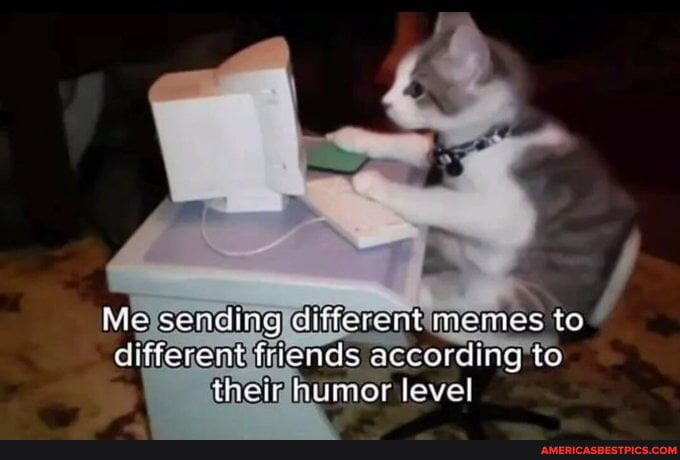 Do sending ere memes to ent friends accorcing te ihen humor level ...