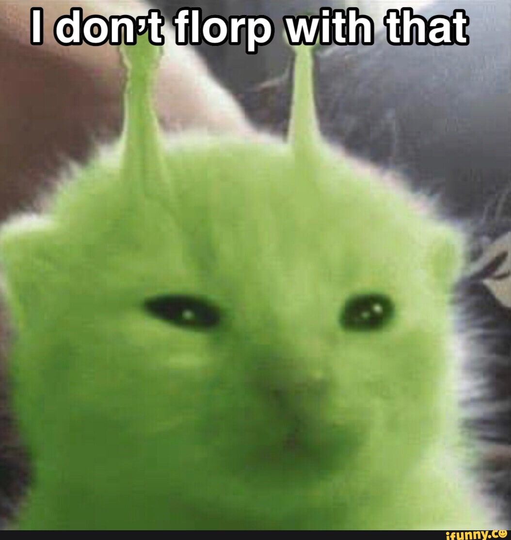 Florp memes. Best Collection of funny Florp pictures on iFunny
