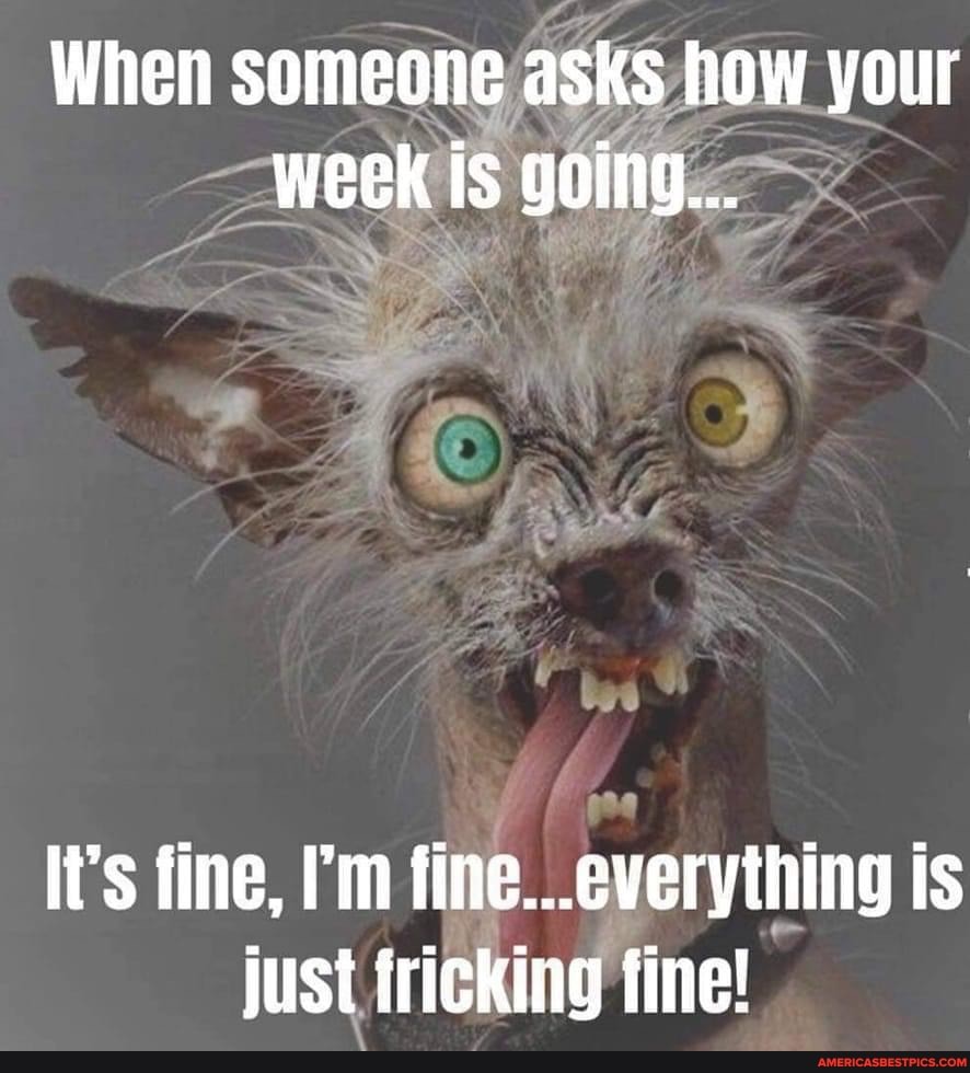 Fart spray Dino prank - America’s best pics and videos