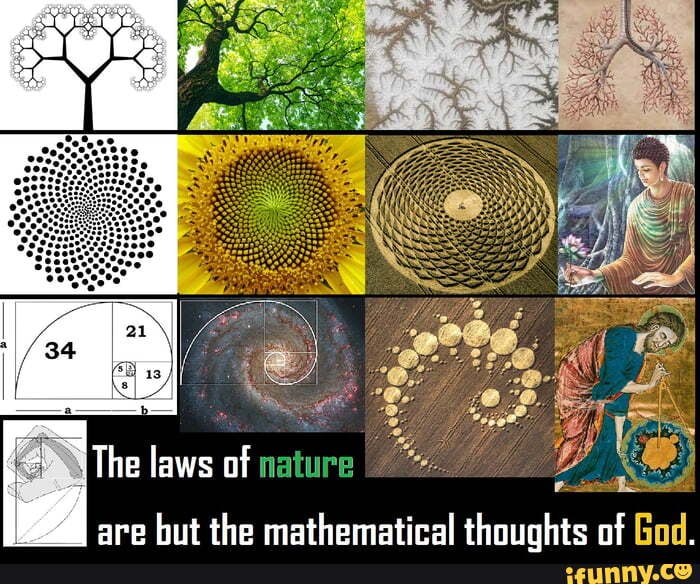 Sacred_geometry memes. Best Collection of funny Sacred_geometry pictures on iFunny