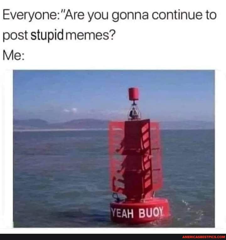 You gonna continue to post stupid memes? Me: (3 YEAH BUOL - America’s ...