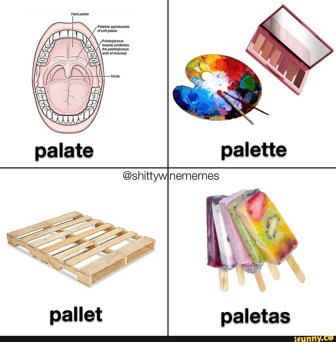 Paletas memes. Best Collection of funny Paletas pictures on iFunny