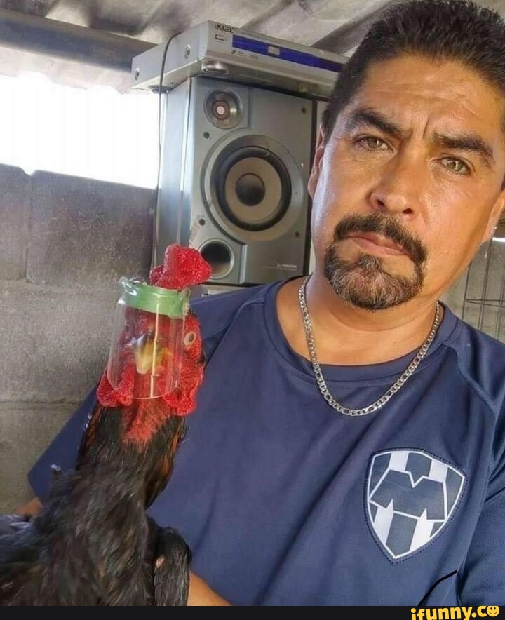 Bok memes. Best Collection of funny Bok pictures on iFunny