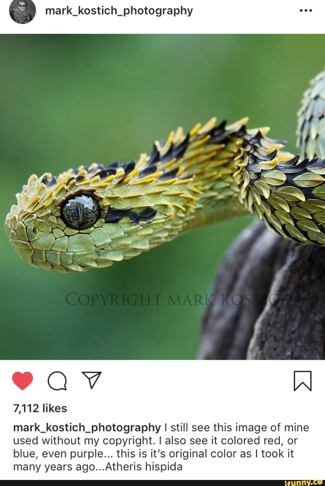 Mark_kostich_photography 7,112 likes mark_kostich_photography I still ...