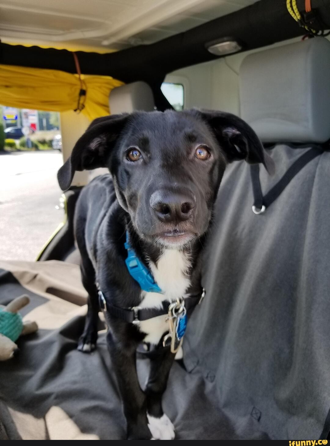 On the beach in Ocean City MD "17" - iFunny