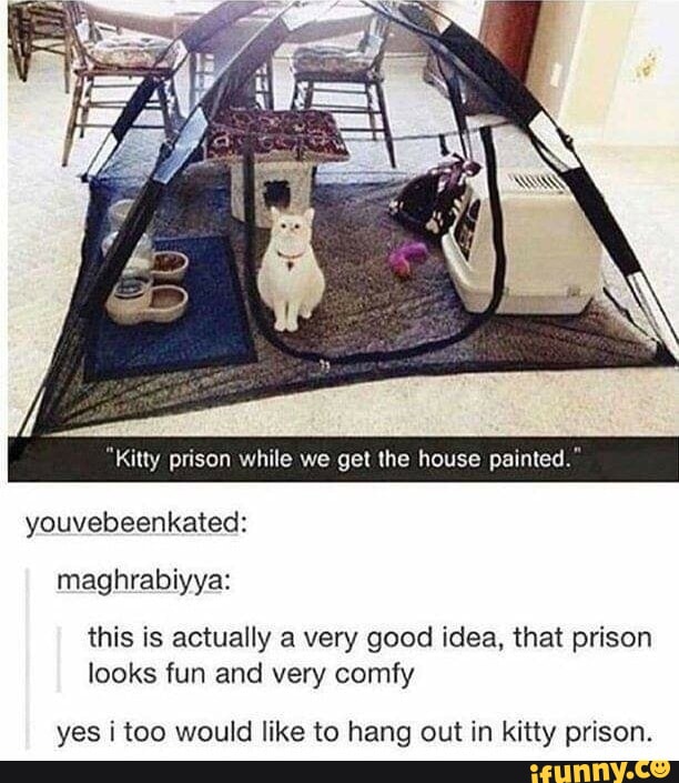 "Kitty prison while we get the house painted." youvebeenkated ...