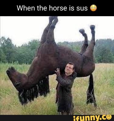 When the horse is sus - iFunny