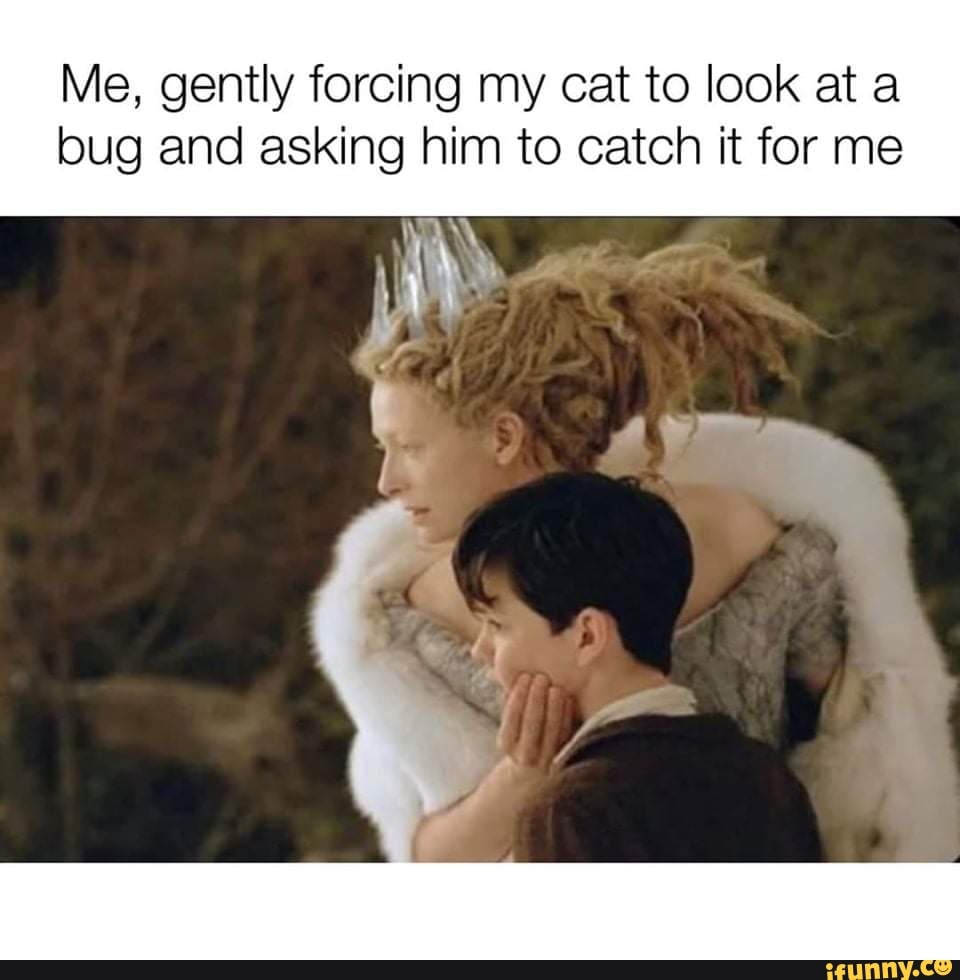 Bugcatcher memes. Best Collection of funny Bugcatcher pictures on iFunny
