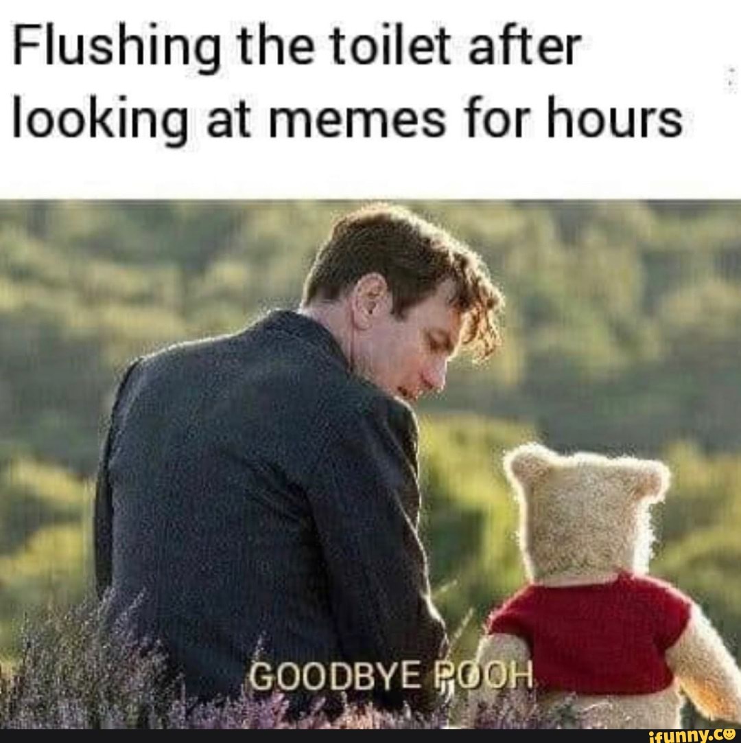 Flushing the toilet after looking at memes for hours GOODBYE - iFunny