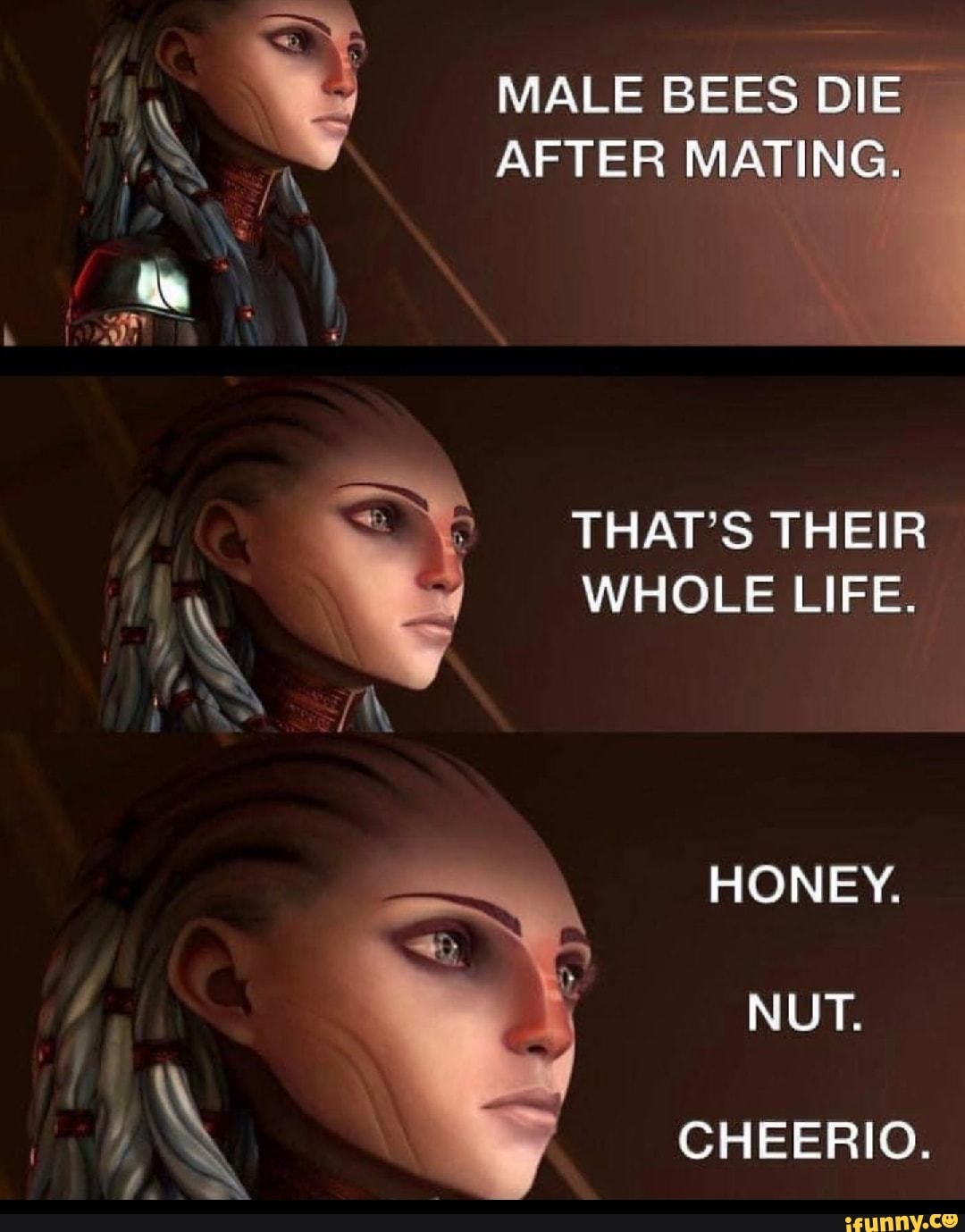 MALE BEES DIE iN AFTER MATING. THAT'S THEIR WHOLE LIFE. AN HONEY. NUT ...