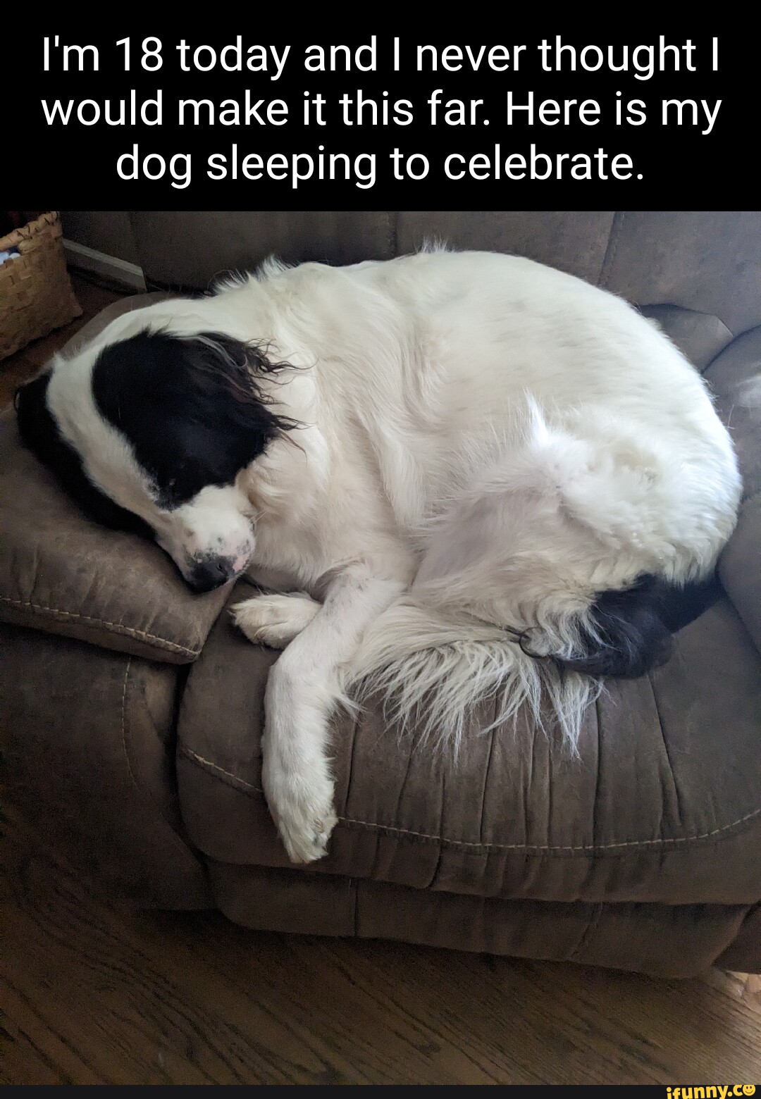 Sleeping memes. Best Collection of funny Sleeping pictures on iFunny