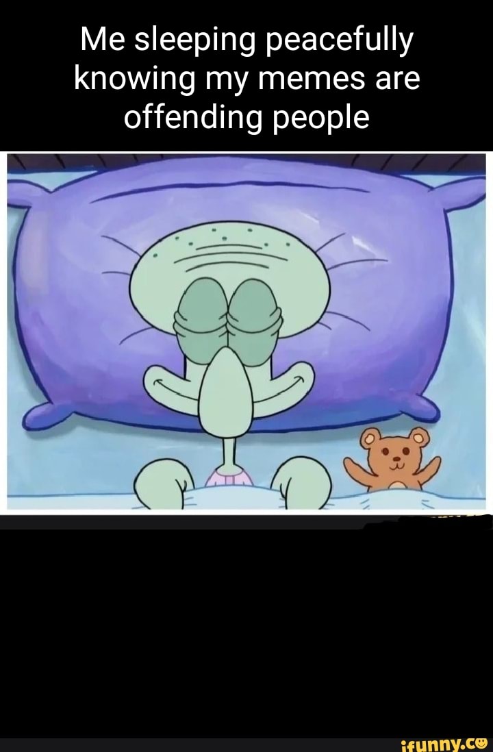 Me sleeping peacefully knowing my memes are offending people - iFunny