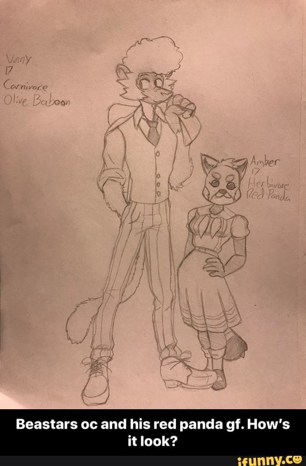 Beastars oc and his red panda gf. How's it look? - Beastars oc and his ...