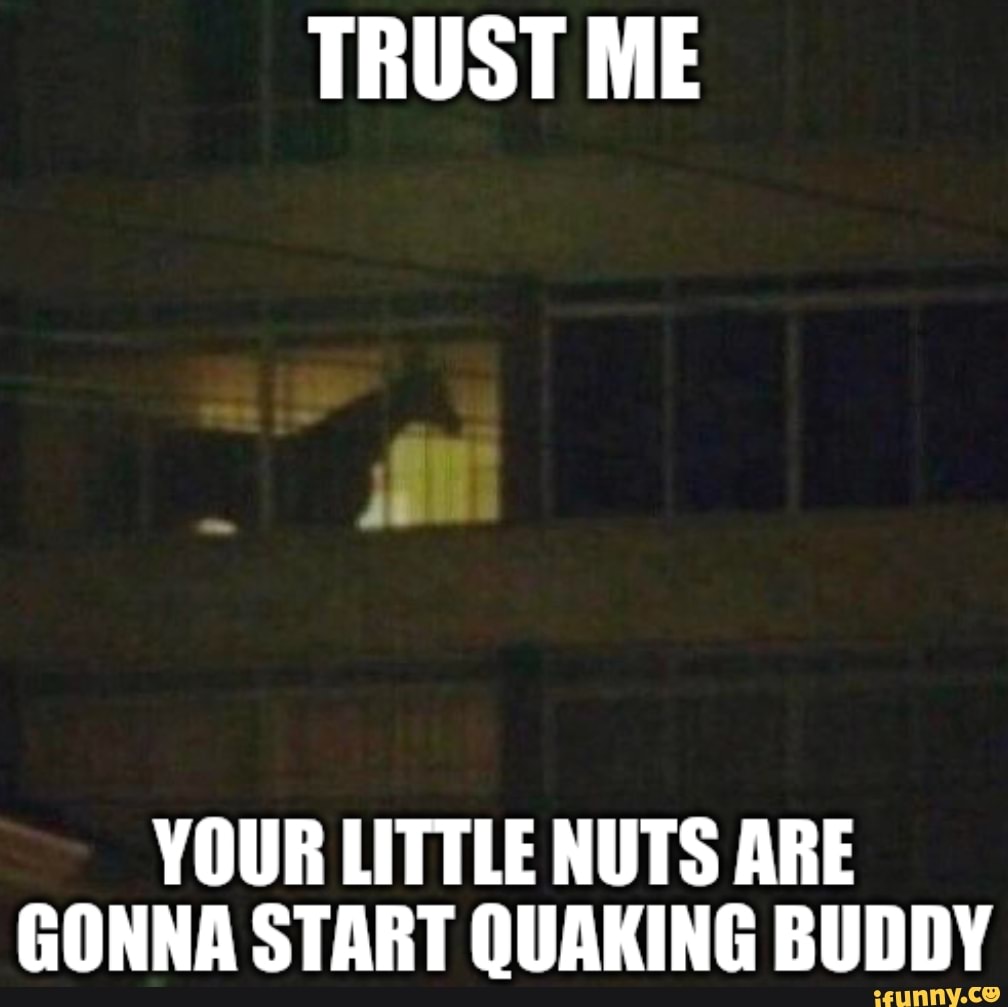 TRUST ME YOUR LITTLE NUTS ARE GONNA START QUAKING BUDDY - iFunny