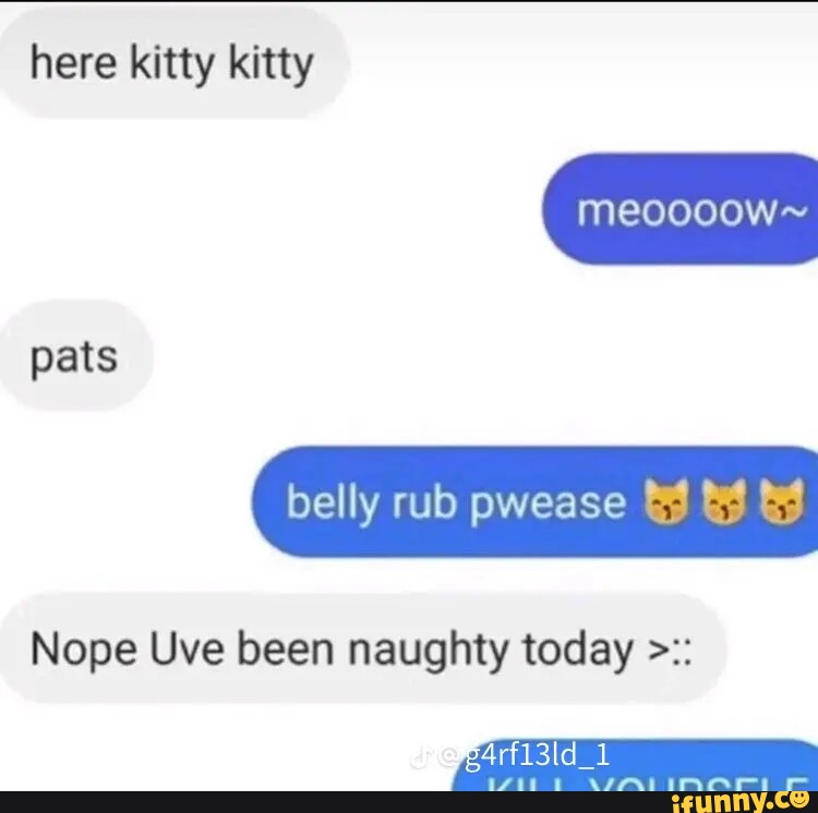 Here kitty kitty meoooow~ belly rub pwease Nope Uve been naughty today rf13ld_1 pats - iFunny