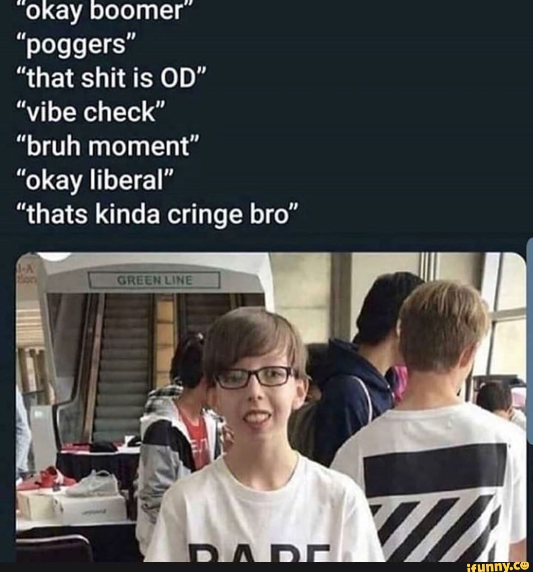 "Okay boomer. "poggers" "that shit is OD" "vibe check" "bruh moment ...