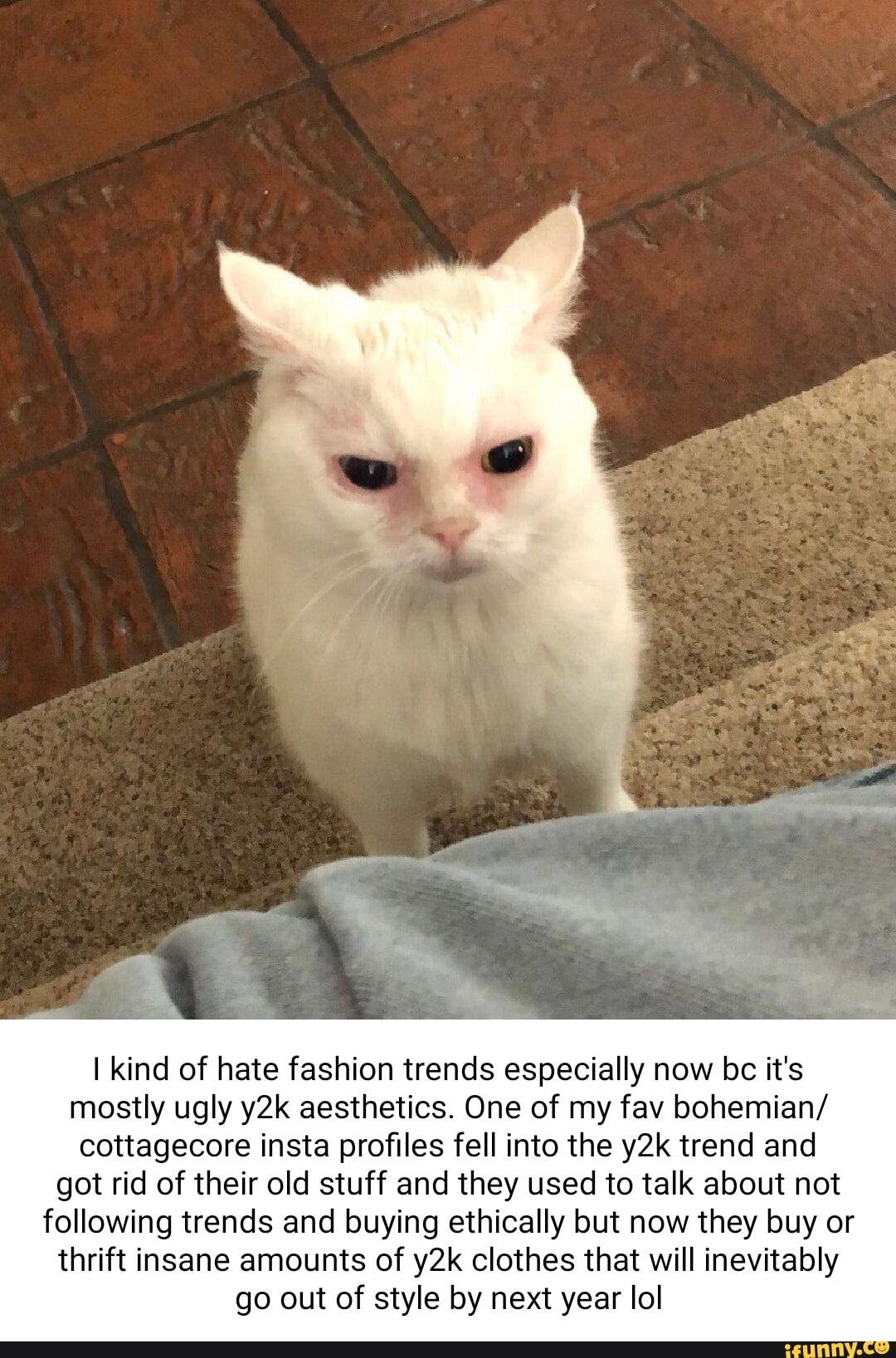 Cottagecore memes. Best Collection of funny Cottagecore pictures on iFunny