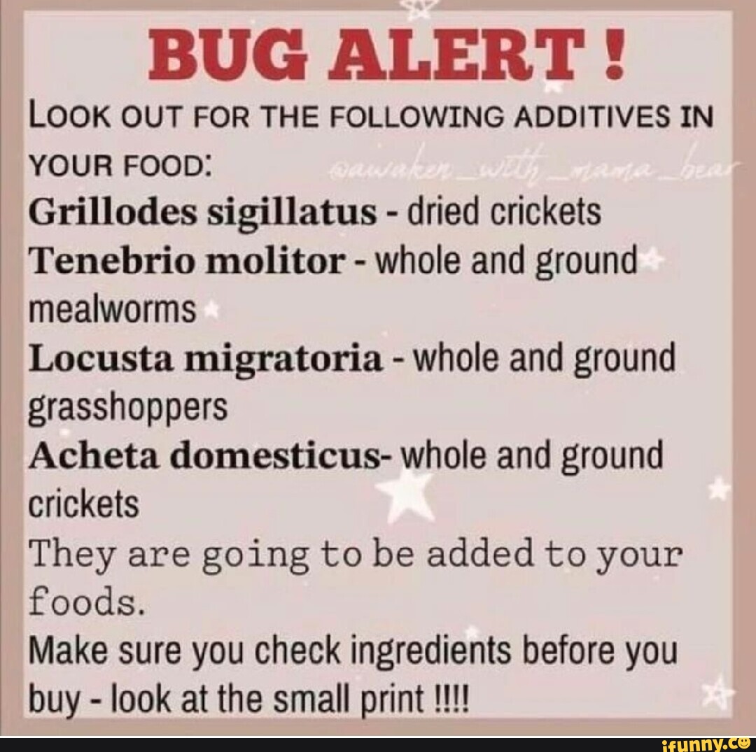 BUG ALERT! LOOK OUT FOR THE FOLLOWING ADDITIVES IN YOUR FOOD: Grillodes ...