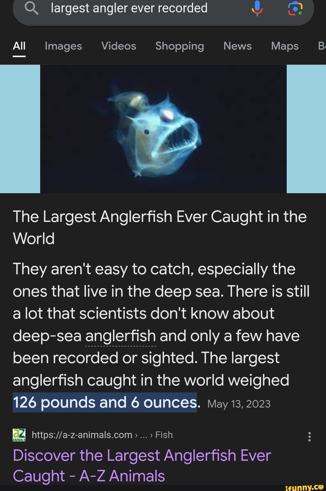 Anglerfish memes. Best Collection of funny Anglerfish pictures on iFunny