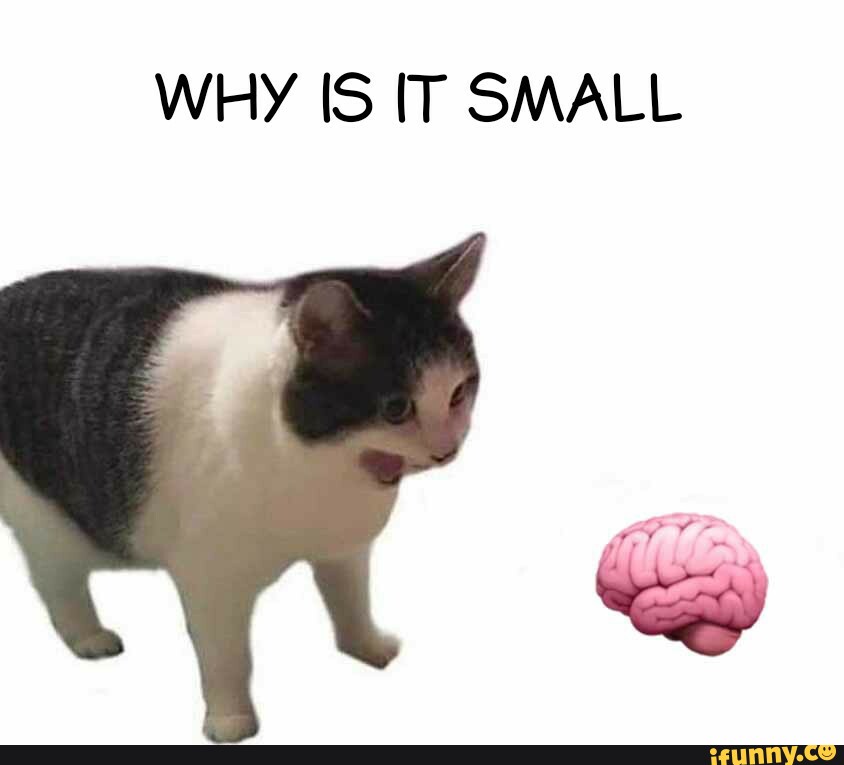 WHY IS IT SMALL - iFunny