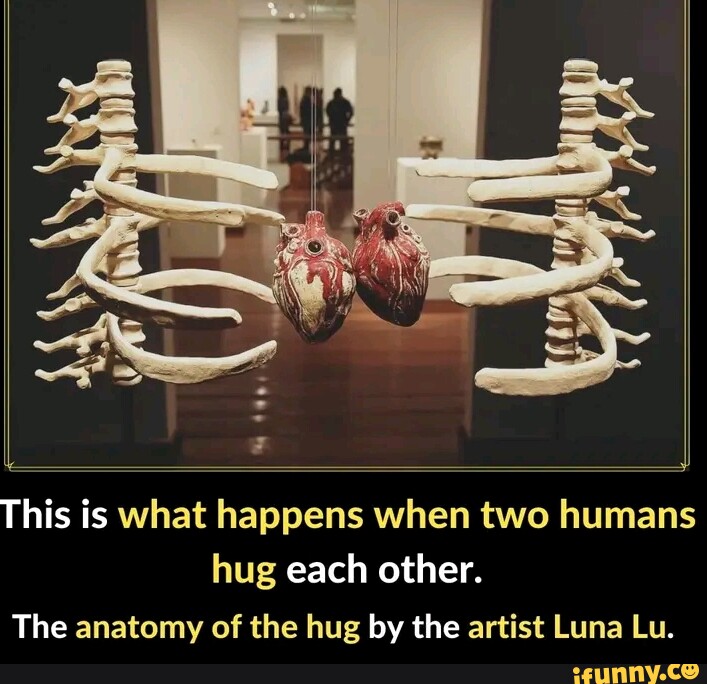 This is what happens when two humans hug each other. The anatomy of the ...