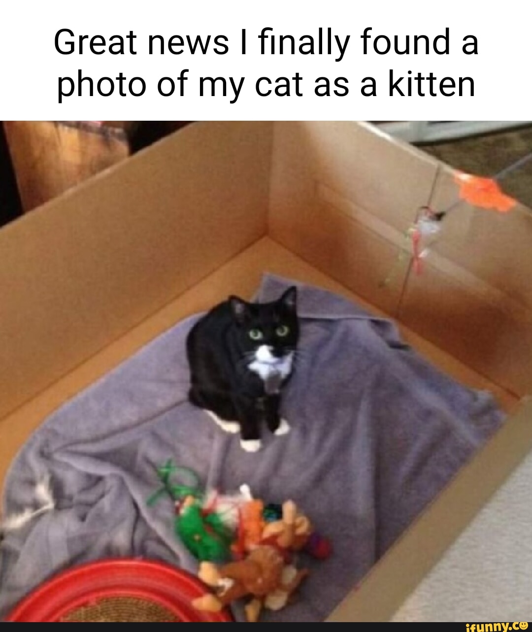 Video memes ihmdc6g1B by mah_dude - iFunny