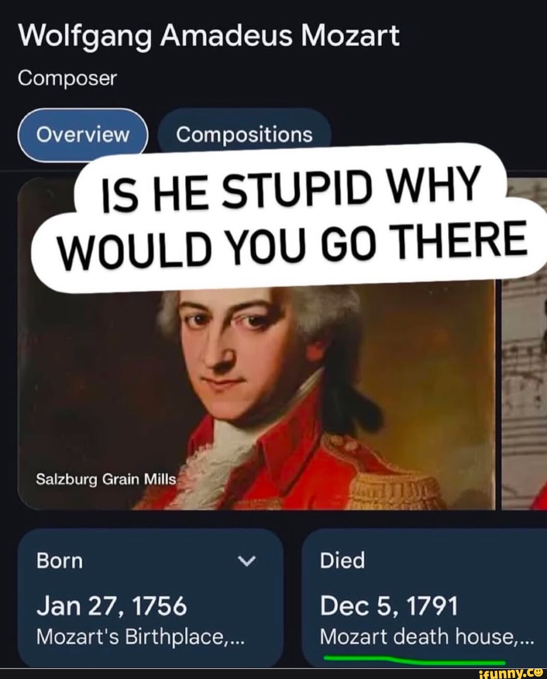 Wolfgang Amadeus Mozart Composer Overview Compositions IS HE STUPID WHY ...