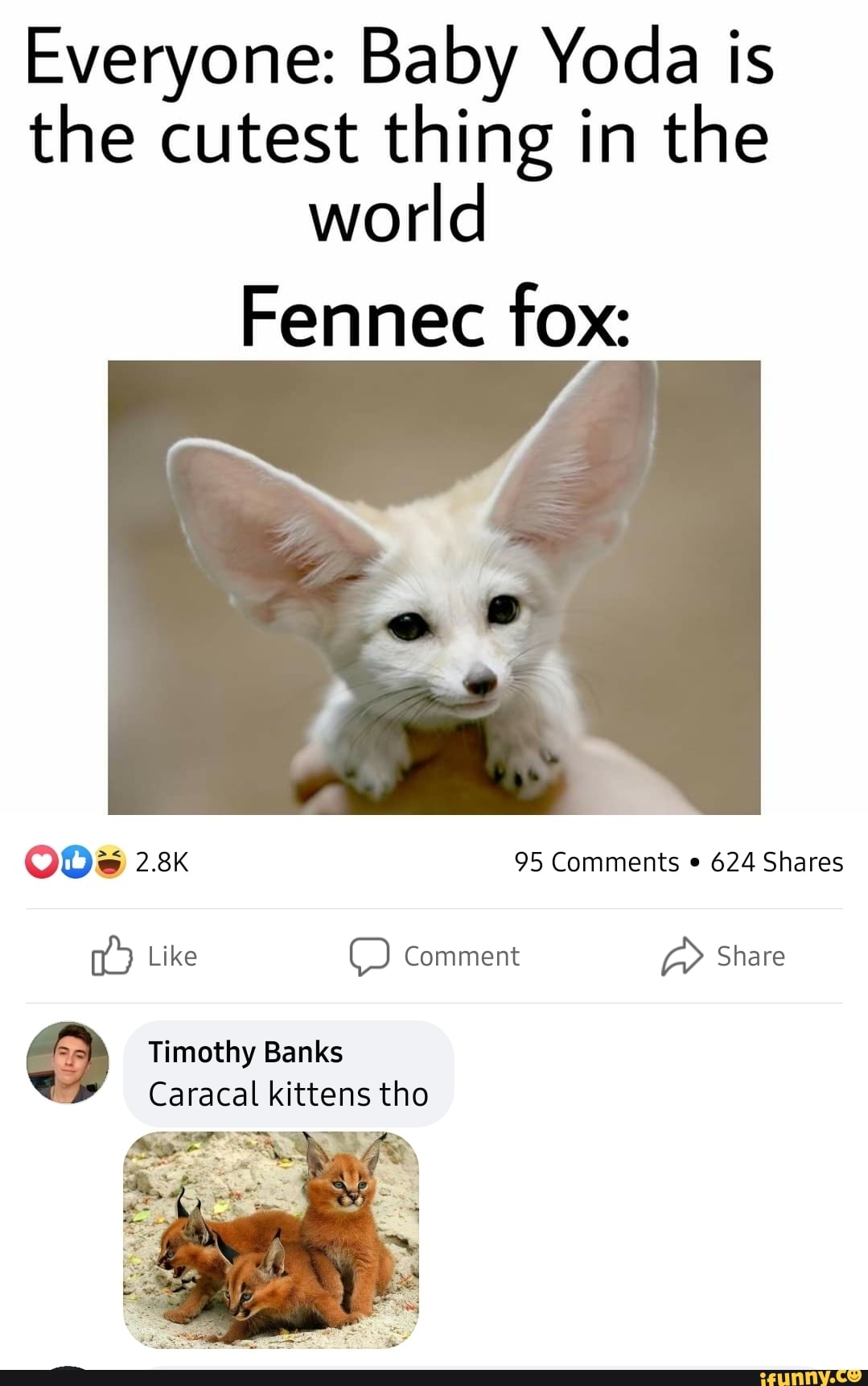Everyone: Baby Yoda is the cutest thing in the world Fennec fox: 15 ...