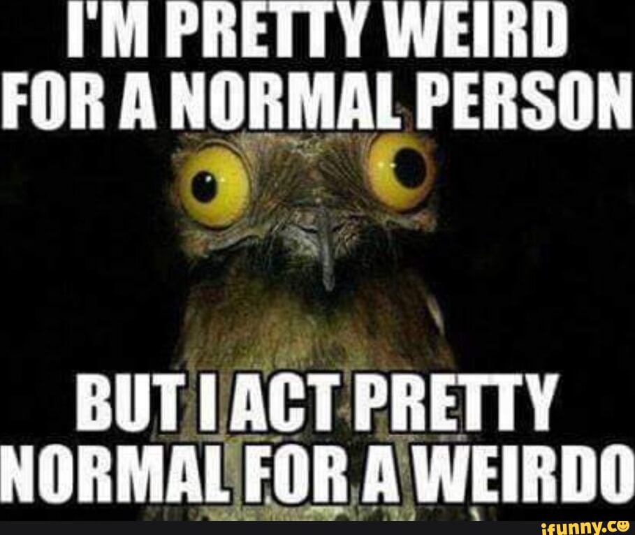 PRETTY WEIRD FOR A NORMAL PERSON BUT TACT PRETTY HORMAL FOR WEIRDO - iFunny