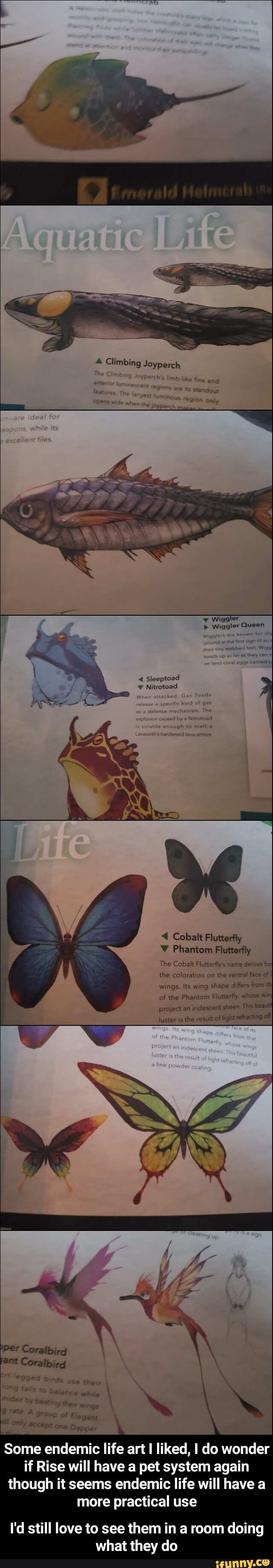 SS Wiggler Wiggler Queen Sleeptoad Nitrotoad Cobalt Flutterfly Phantom Flutterfly The Cobalt ...