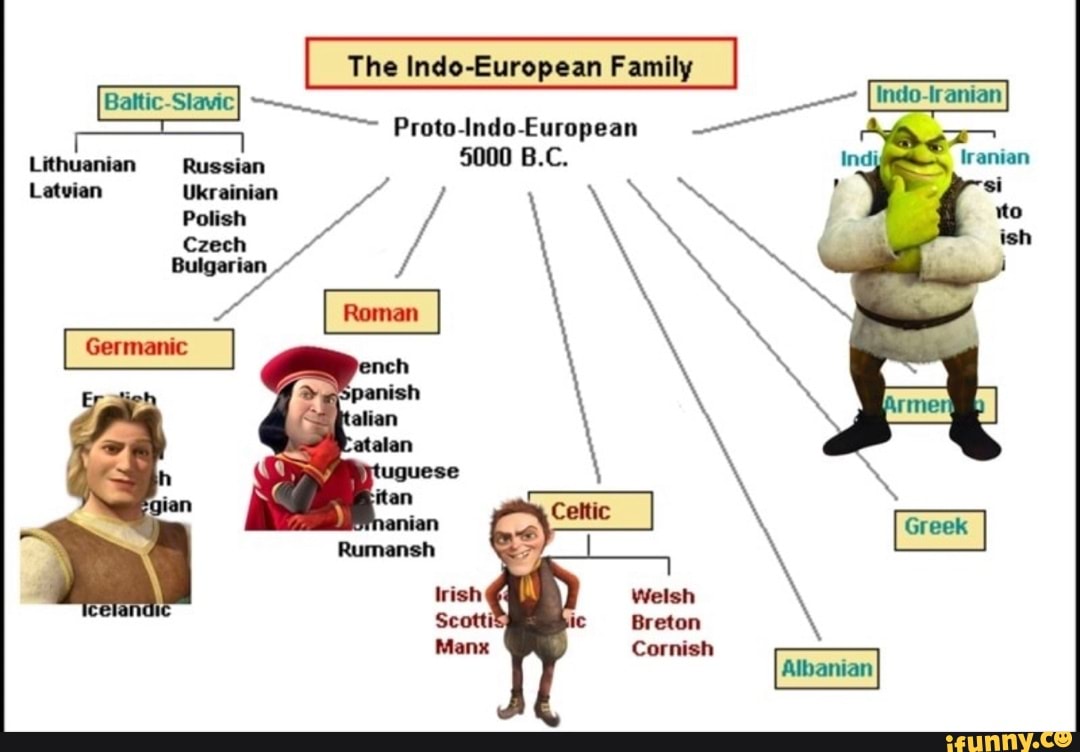 The Indo-European Family [Baltic-Stavic] [Indo-tranian] Proto-Indo ...