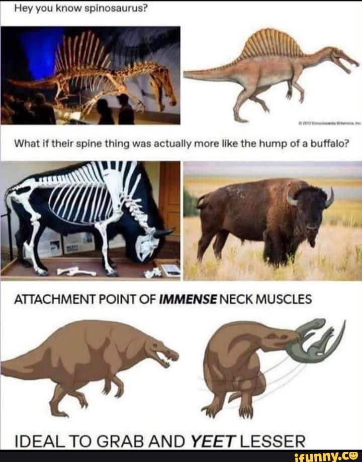 Hey you know spinosaurus? What if their spine thing was actually more ...