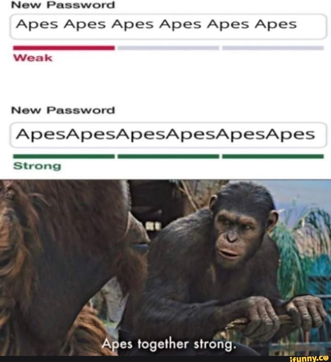 New Password Apes Apes Apes Apes Apes Apes Weak New Password ...