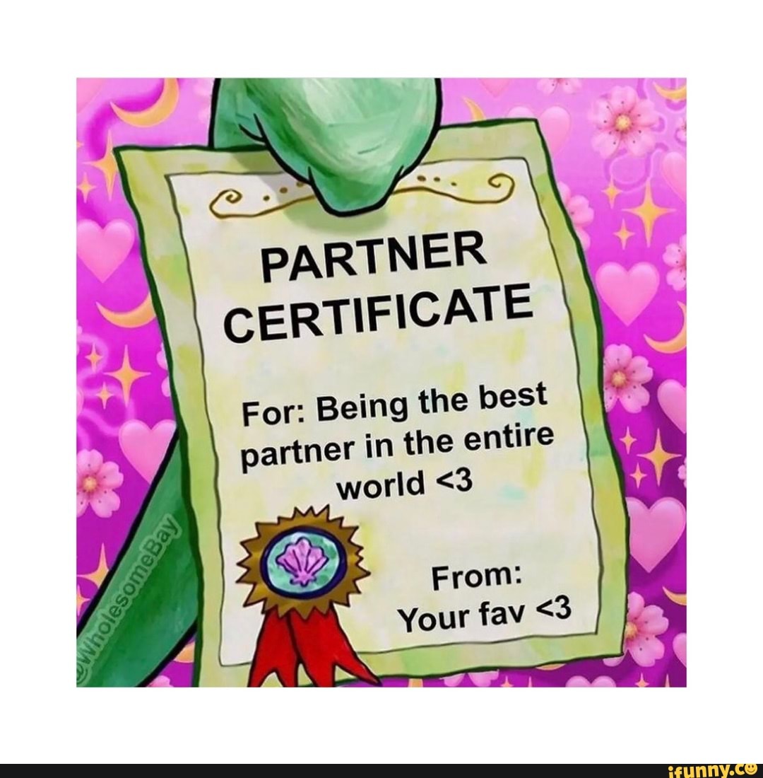 PARTNER CERTIFICATE For: Being the best partner in the entire world