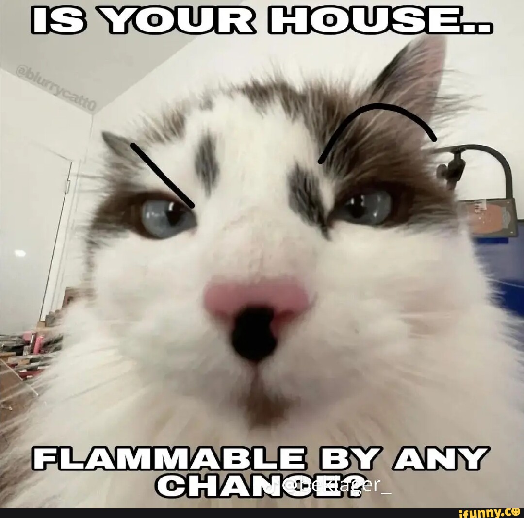 IS YOUR HOUSE.. FLAMMABLE BY ANY CHAN - iFunny