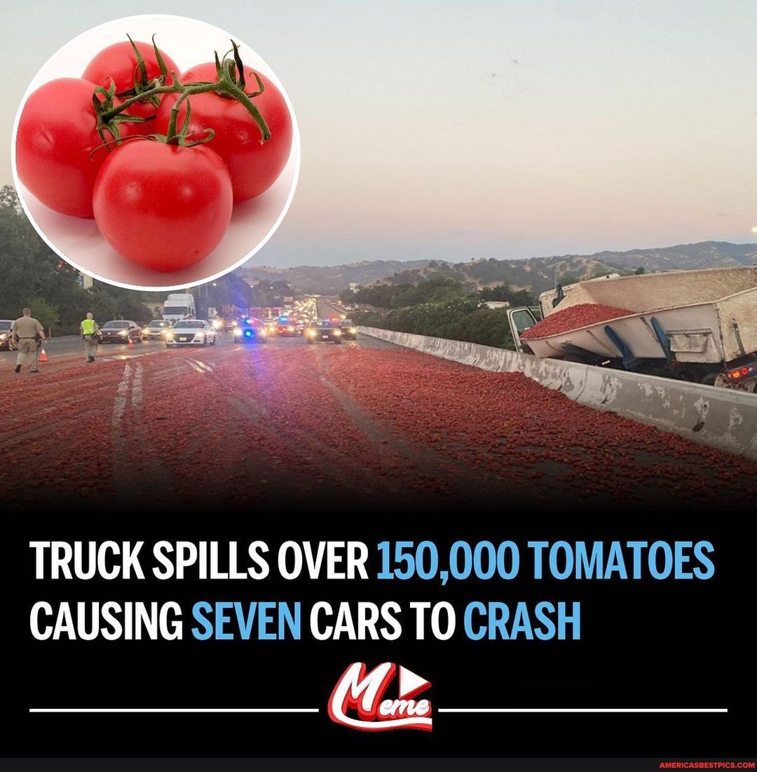 Over 150,000 tomatoes were left covering the highway after a tomato ...