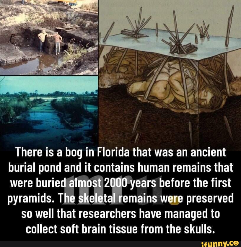 There is a bog in Florida that was an ancient burial pond and it ...