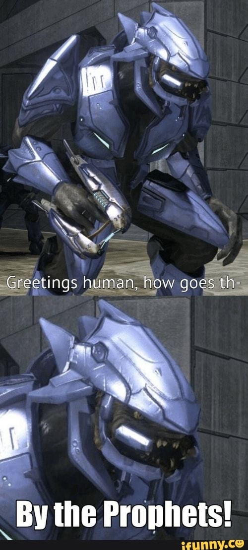 Reactionhalo memes. Best Collection of funny Reactionhalo pictures on ...