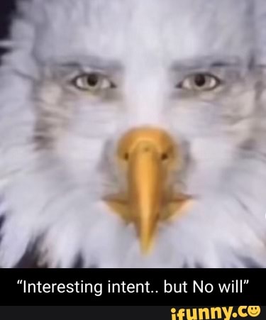 "Interesting intent.. but No will" - iFunny
