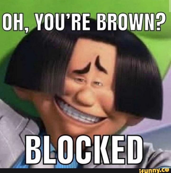 OH, YOU'RE BROWN? BLOCKED - iFunny