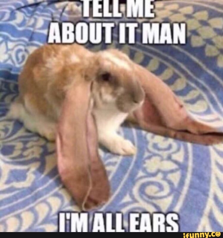Im All Ears Meme