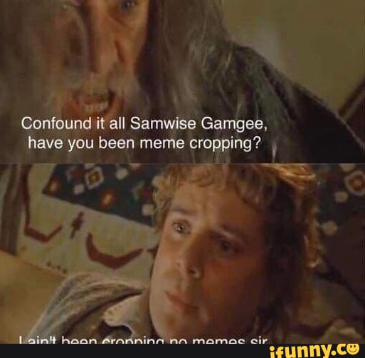 Confound it all Samwise Gamgee, have you been meme cropping? , - iFunny