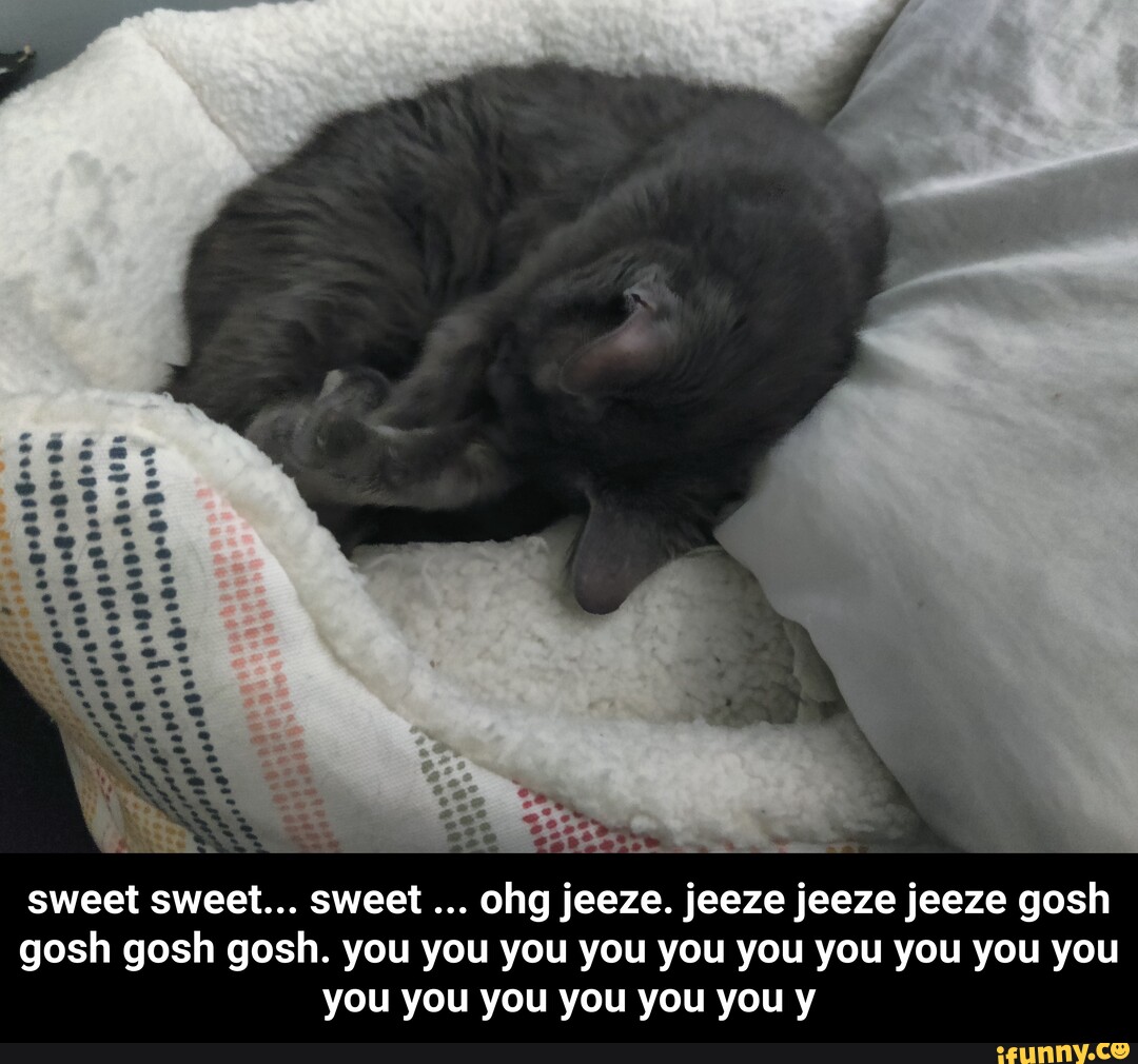 Jeeze memes. Best Collection of funny Jeeze pictures on iFunny