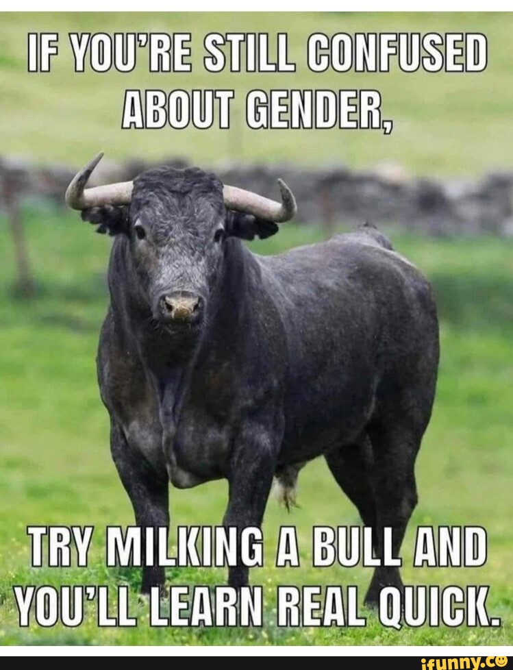 IF YOU'RE STILL CONFUSED ABOUT GENDER, TRY MILKING A BULL AND LEARN ...